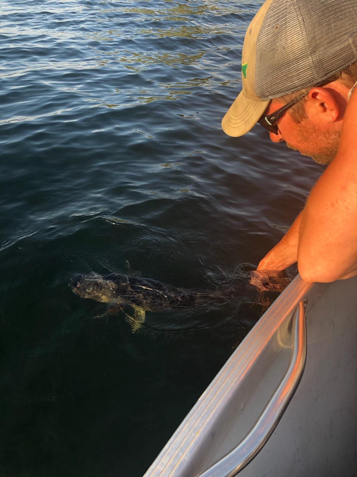 BWCA 88" of walleye - Burntside Boundary Waters Fishing Forum
