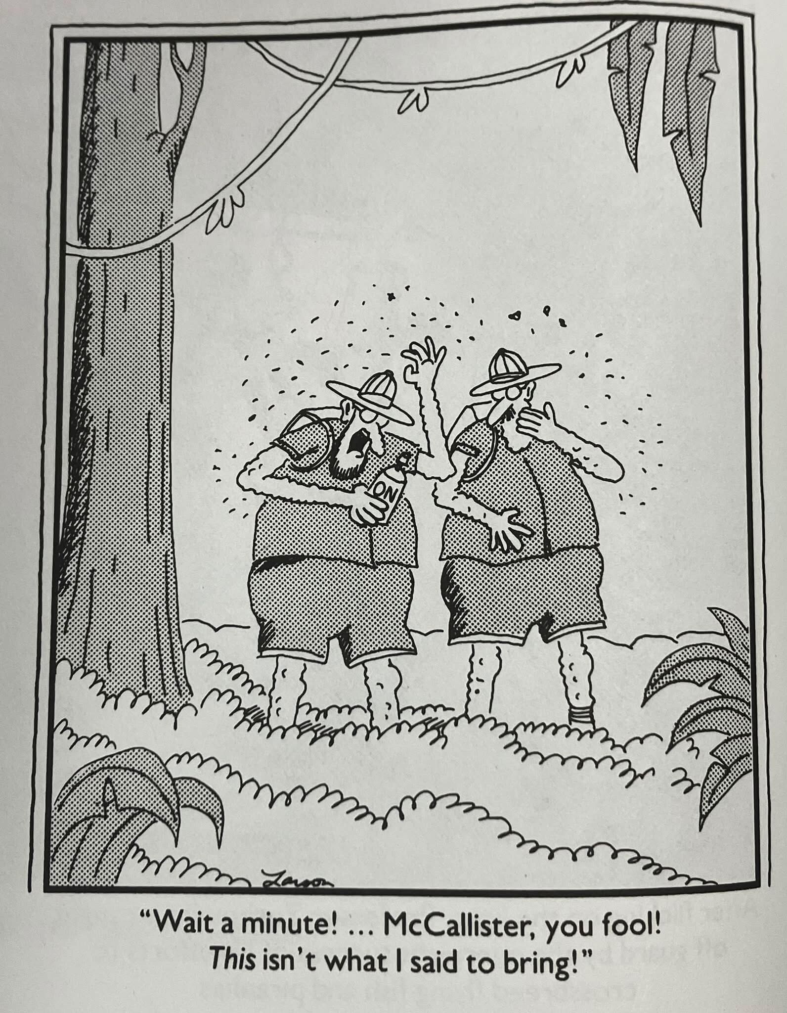 BWCA A funny mosquito meme Boundary Waters Listening Point - General ...