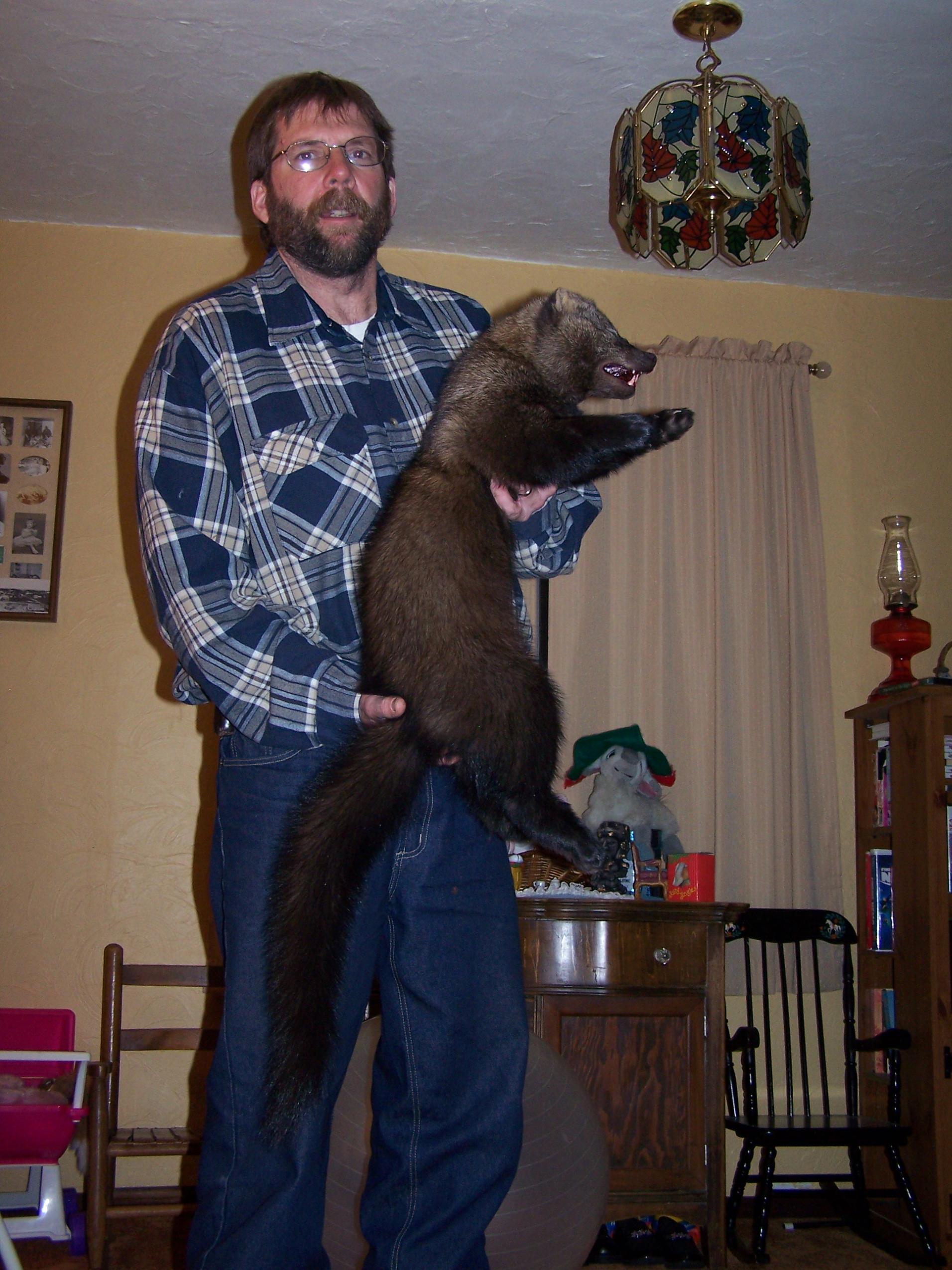 BWCA A Fisher (I think) scared the daylight out of me. Boundary Waters ...