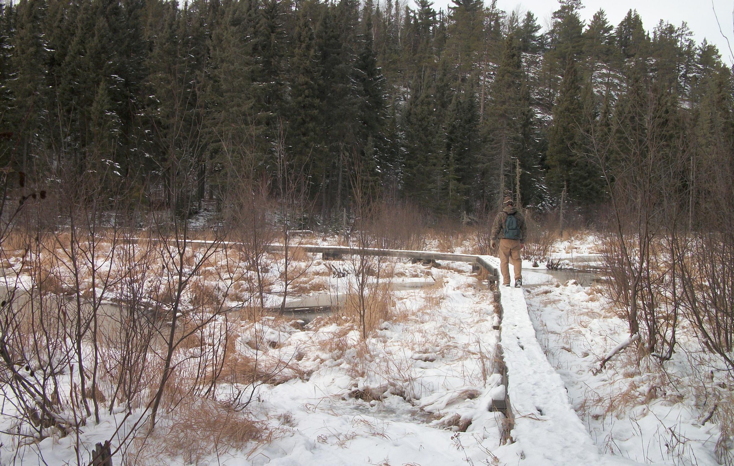 BWCA How bad is the Angleworm Lake entry portage/ Boundary Waters Trip ...